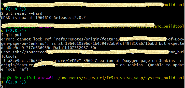 Fix For Error Unable To Update Local Ref BBs Web